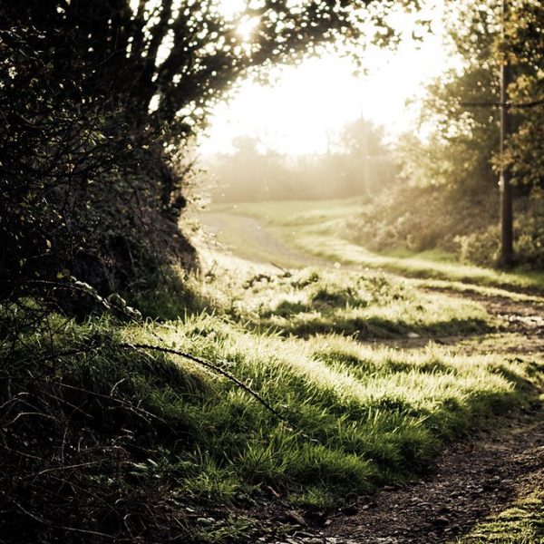 Susan McWilliams Barndt